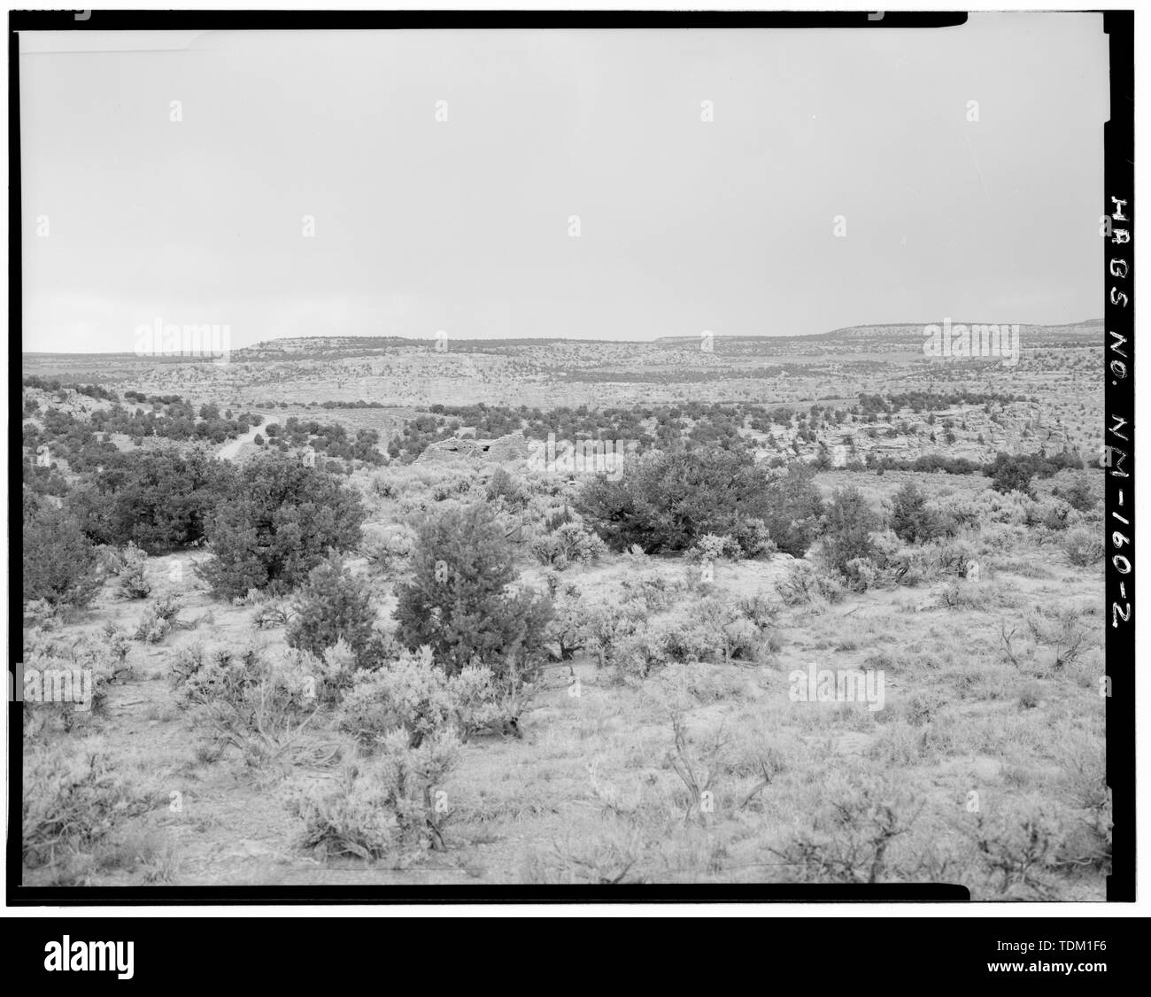 Overall view from a closer position, looking northwest. - Hooded ...