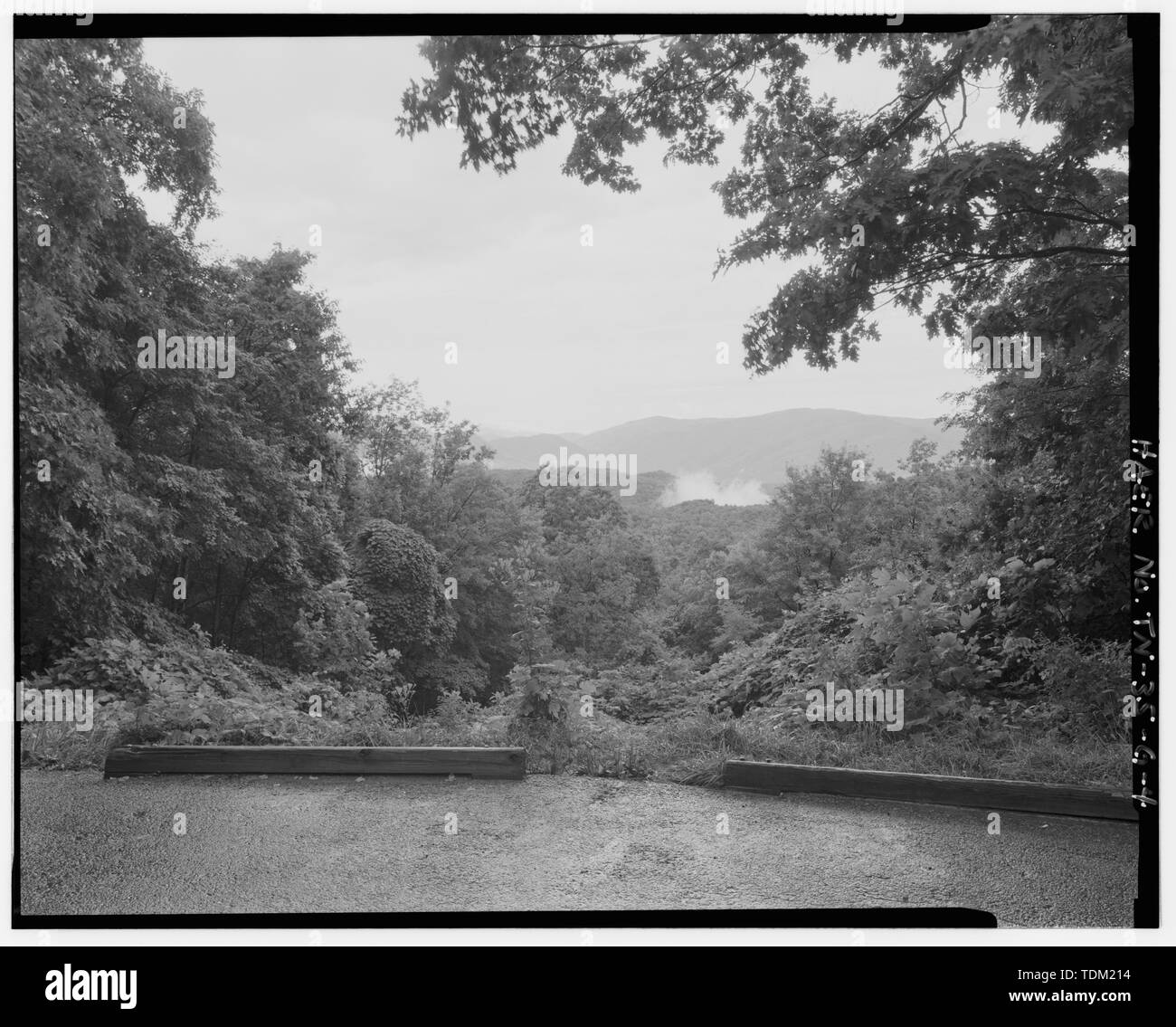 Todd bridges hi-res stock photography and images - Alamy