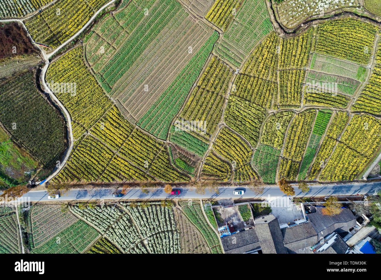 Huangshan field, Anhui Province Stock Photo - Alamy