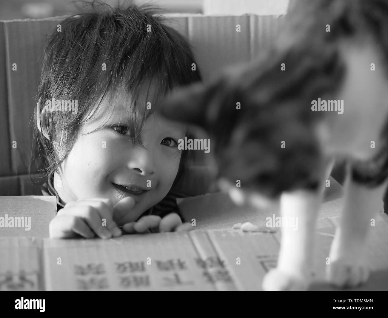 Death of pet child hi-res stock photography and images - Alamy