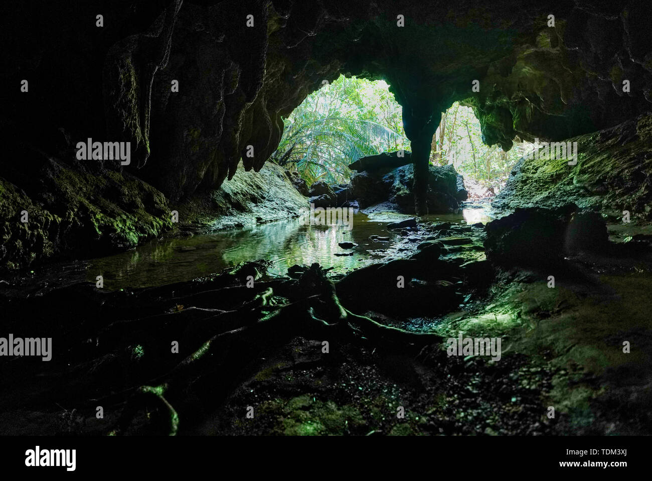 Cave in Iriomote Island, Okinawa Prefecture, Japan Stock Photo - Alamy