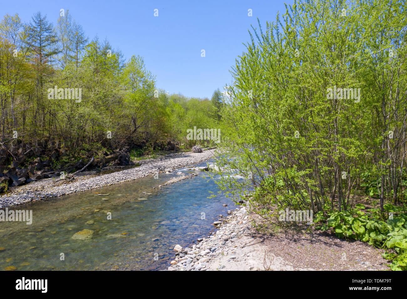 Aerial view of spring Stock Photo - Alamy