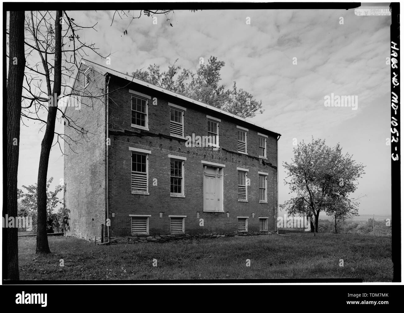 david taylor tree service