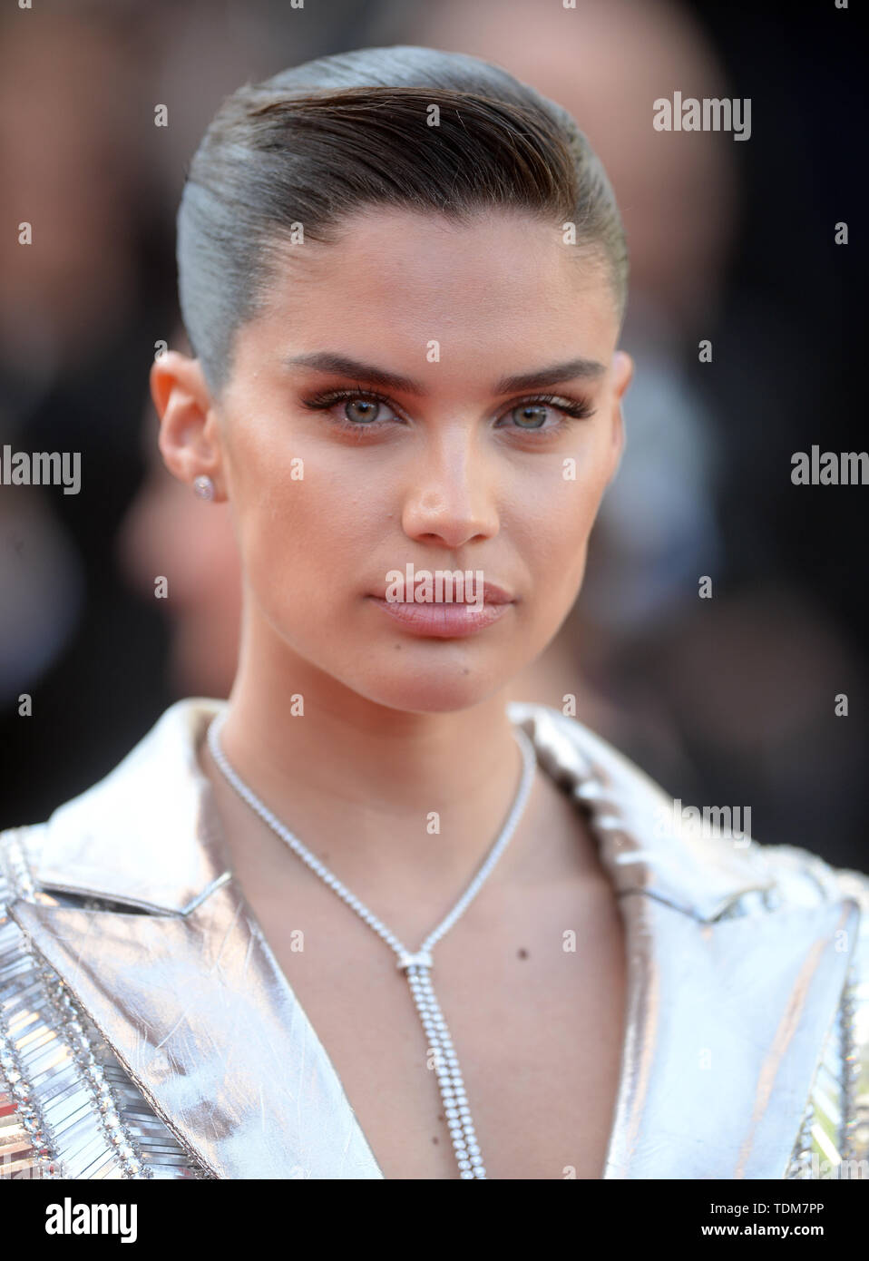 Rocket Man premiere at the 72nd Cannes Film Festival Featuring: Sara ...