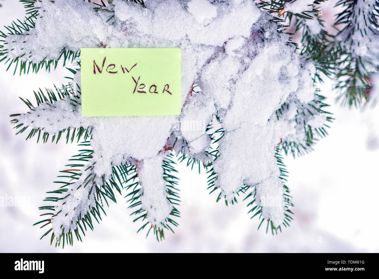 winter tree under the snow with a sticker and inscription new year ...