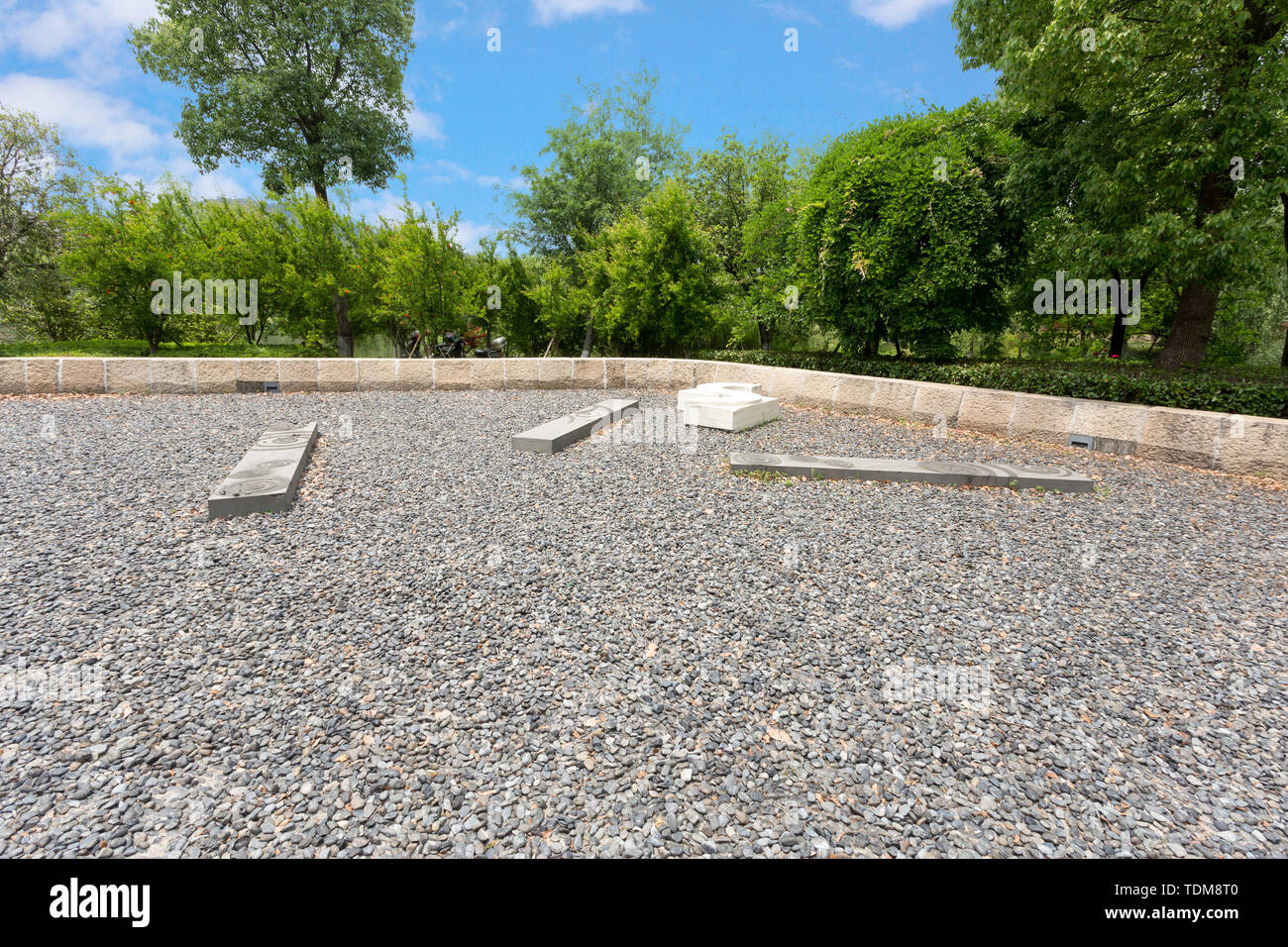 Empty sandstone ground in park with plant Stock Photo - Alamy