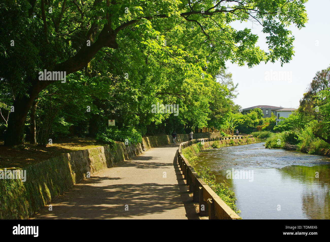 Suizenji Ezuko Park in spring, Kumamoto Prefecture, Japan Stock Photo ...