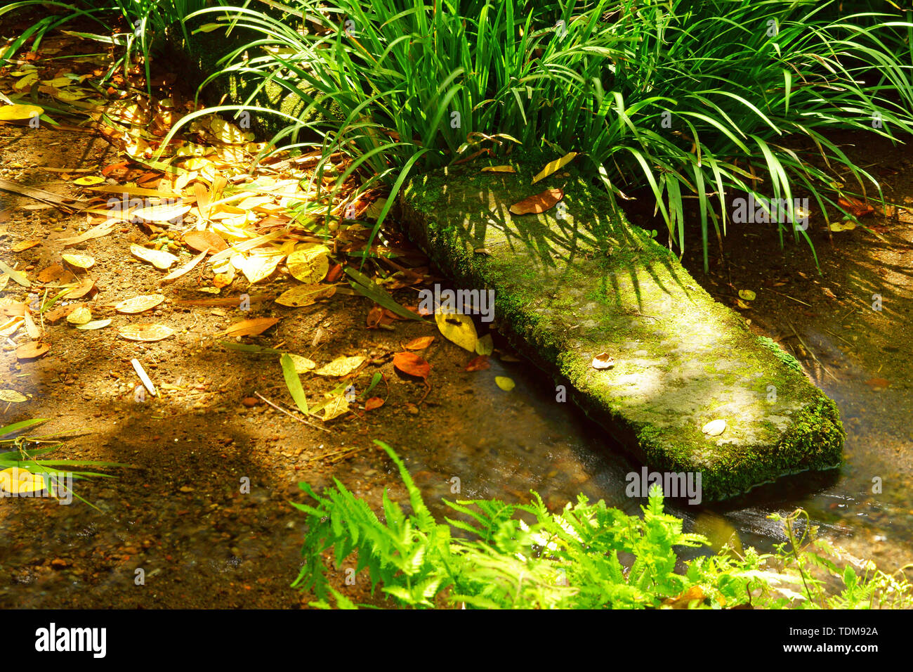 Suizenji Ezuko Park in spring, Kumamoto Prefecture, Japan Stock Photo ...