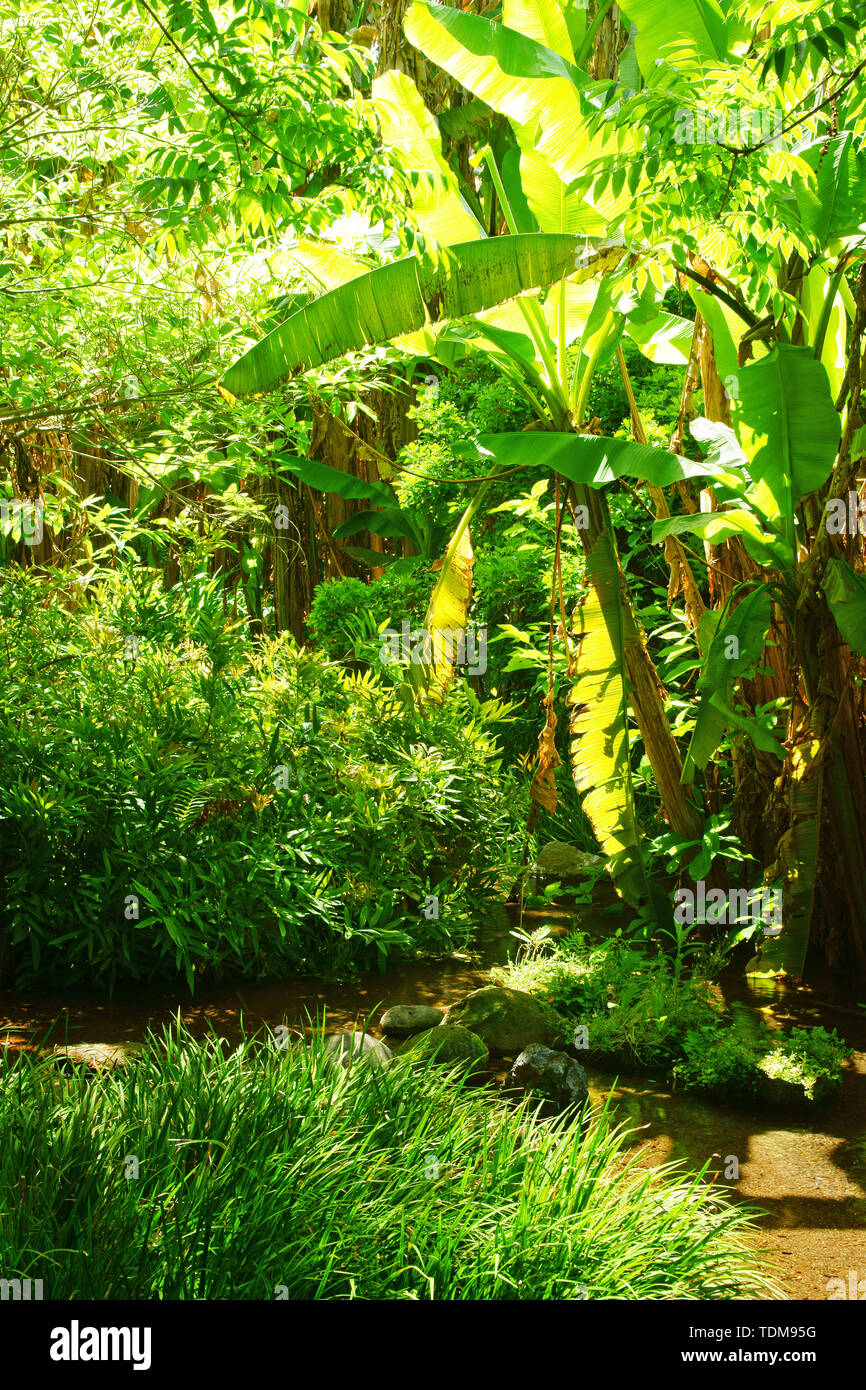 Suizenji Ezuko Park in spring, Kumamoto Prefecture, Japan Stock Photo ...