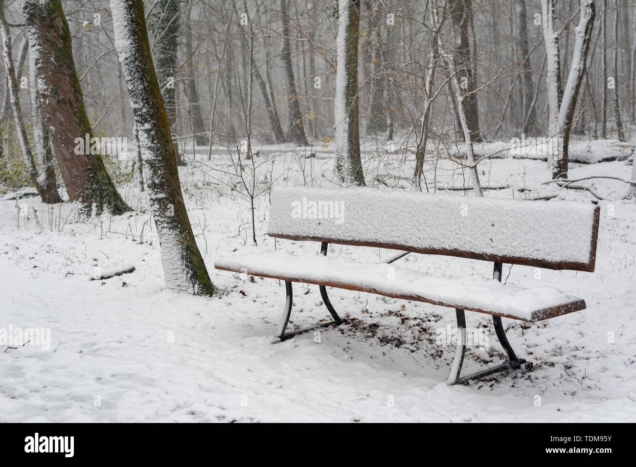 Frozen benches hi-res stock photography and images - Alamy