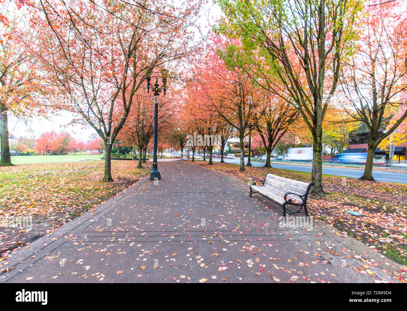 Portland maine fall city hi-res stock photography and images - Alamy