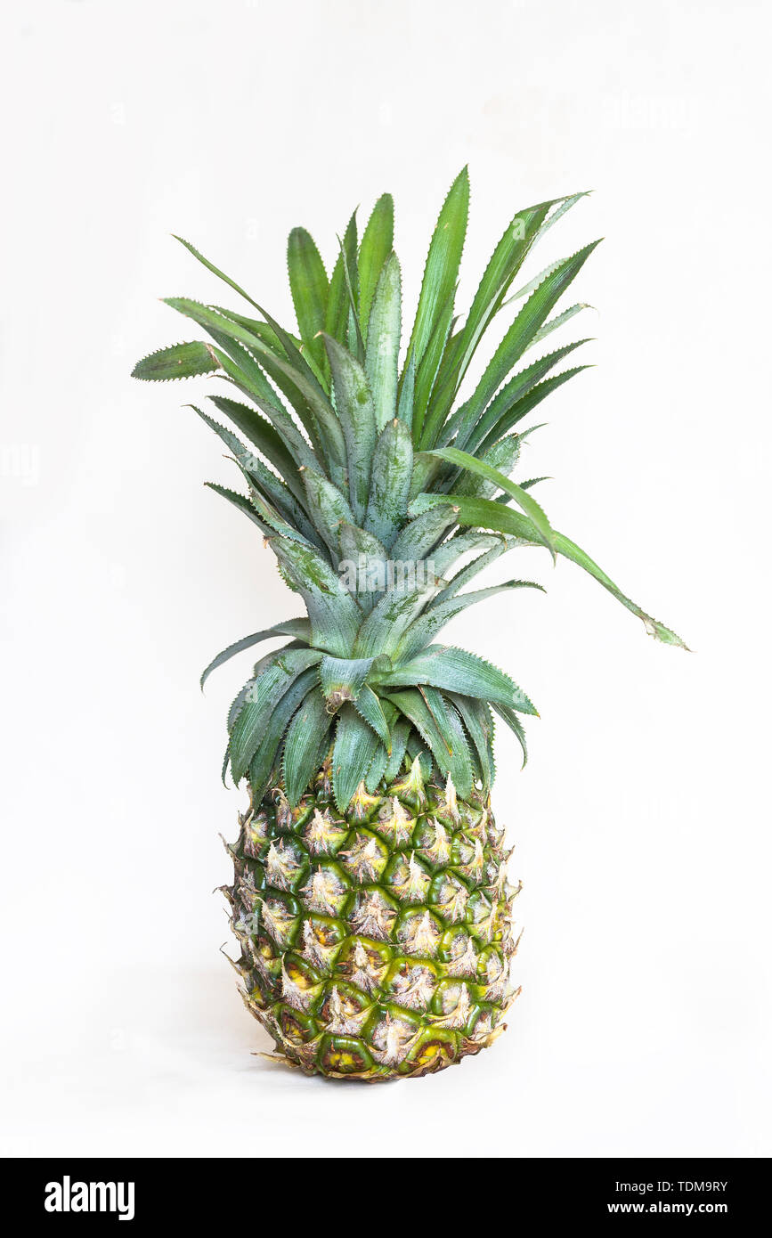 Pineapple Bottom High Resolution Stock Photography and Images - Alamy