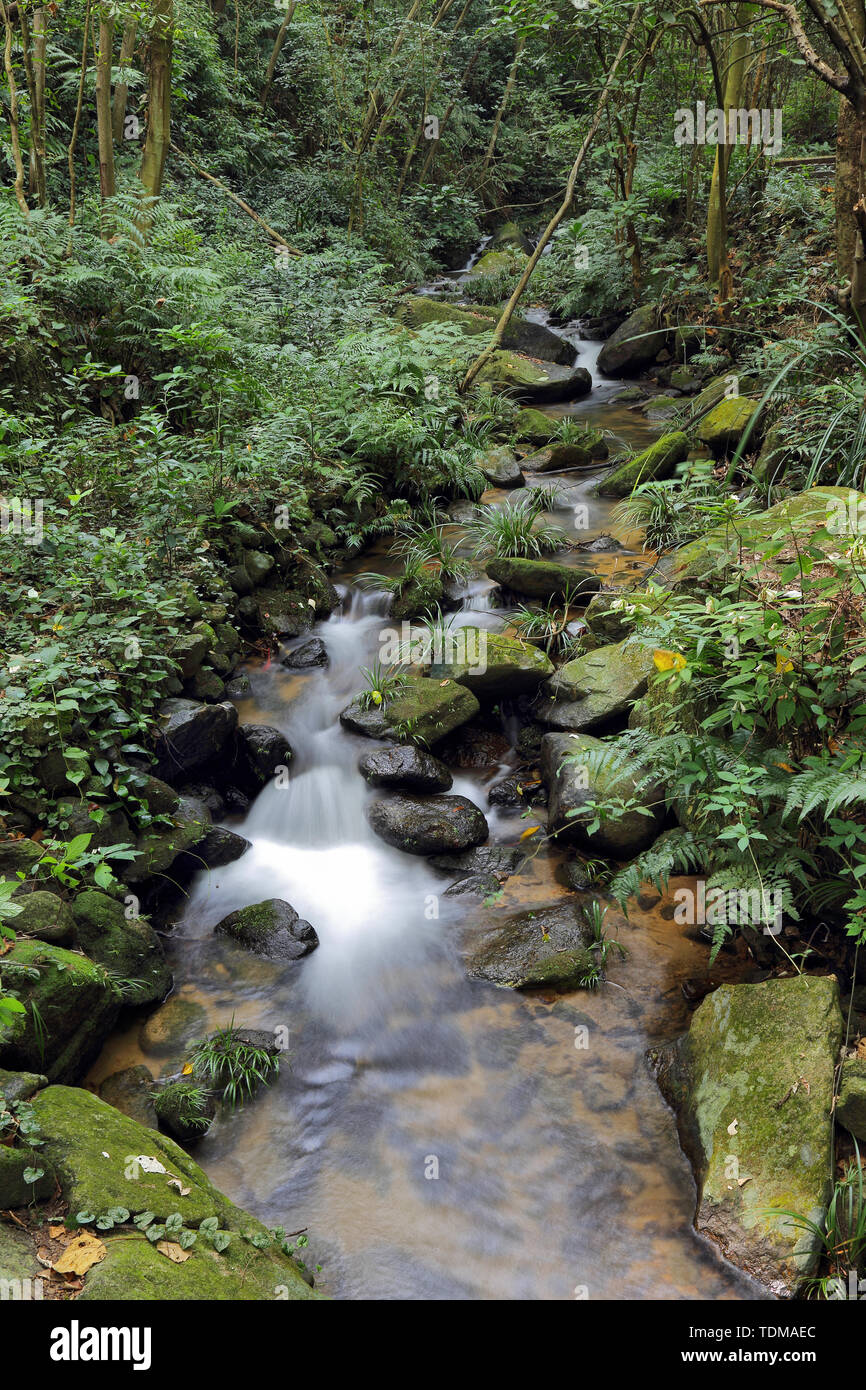 Dinghu mountain hi-res stock photography and images - Alamy