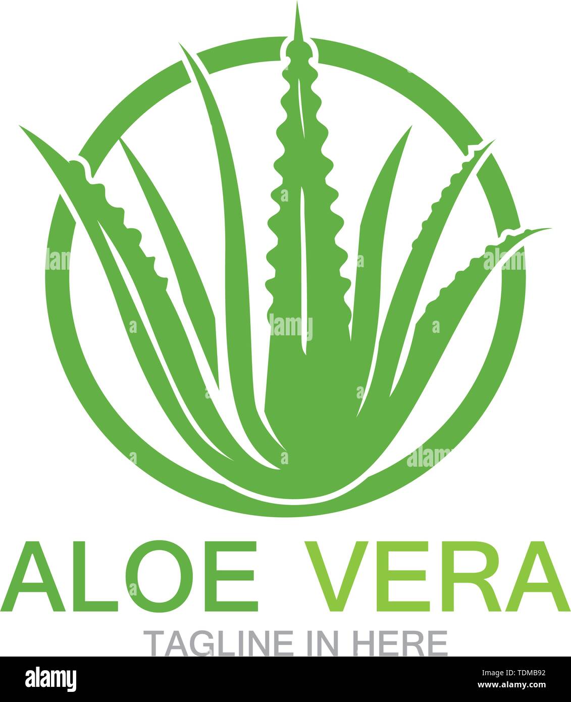 Aloe vera logo vector ilustration Stock Vector Image & Art - Alamy
