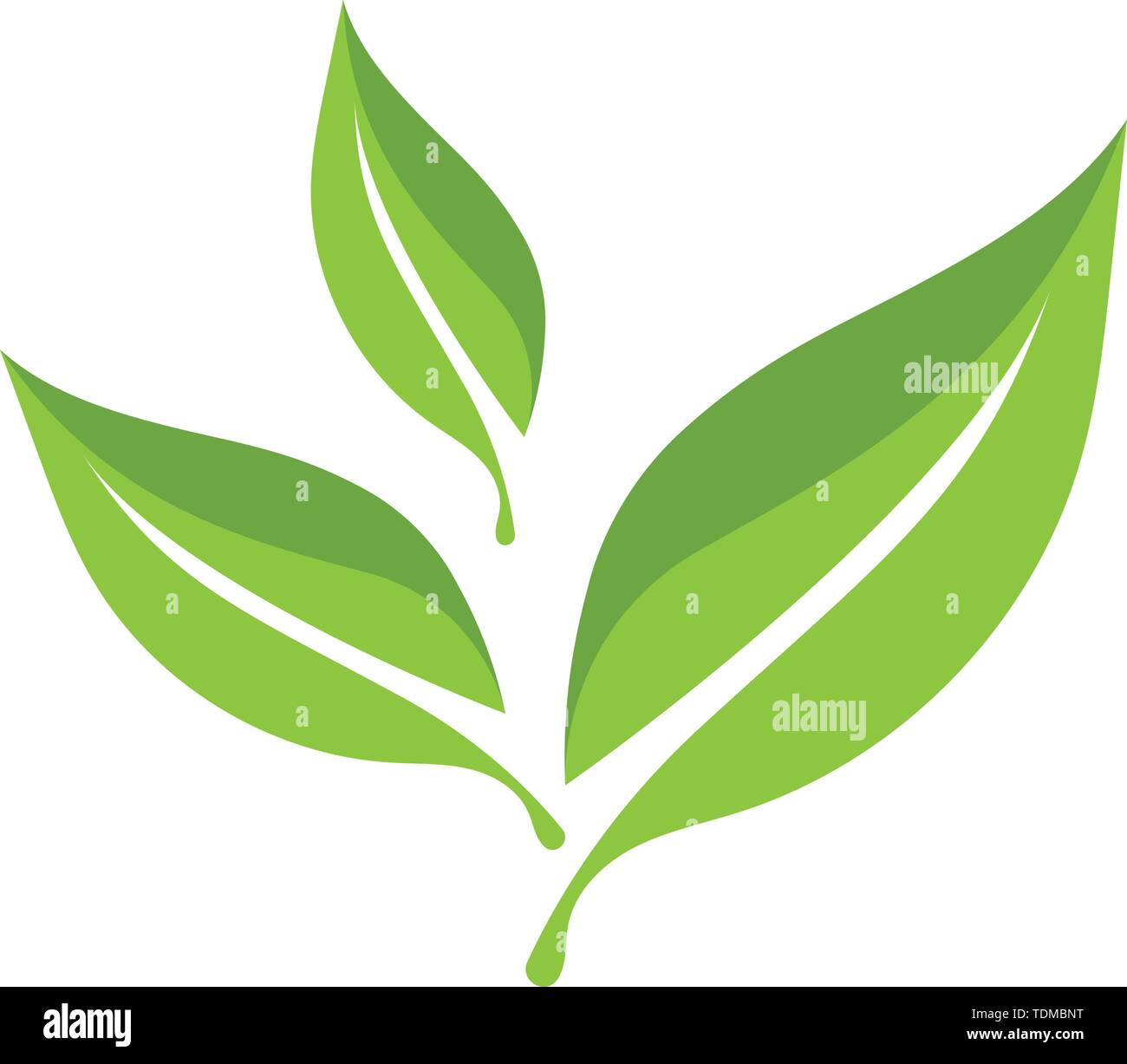 Leaf Stock Vector Images - Alamy