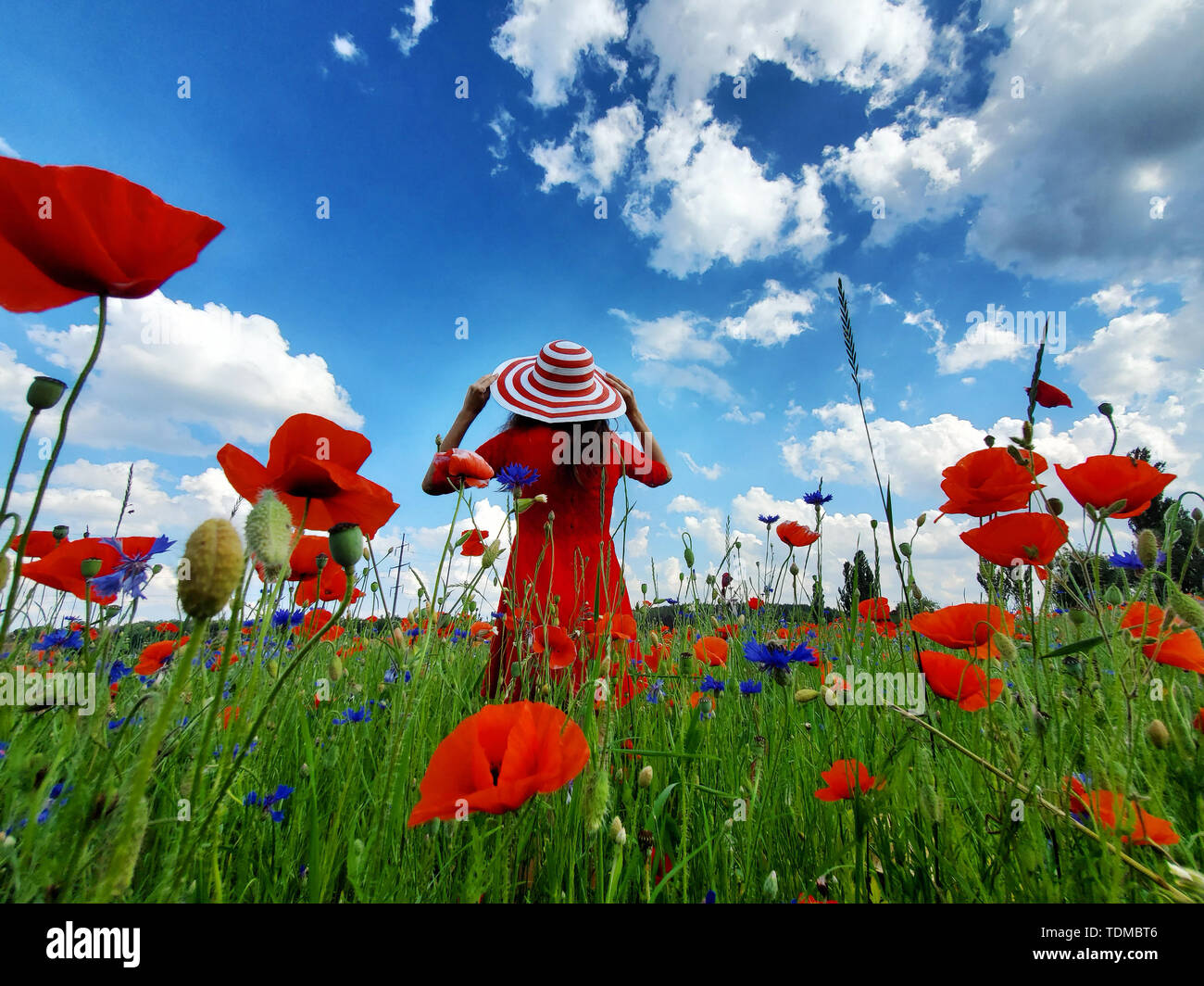 Dreamy woman in red dress and a big red striped hat turned back in ...