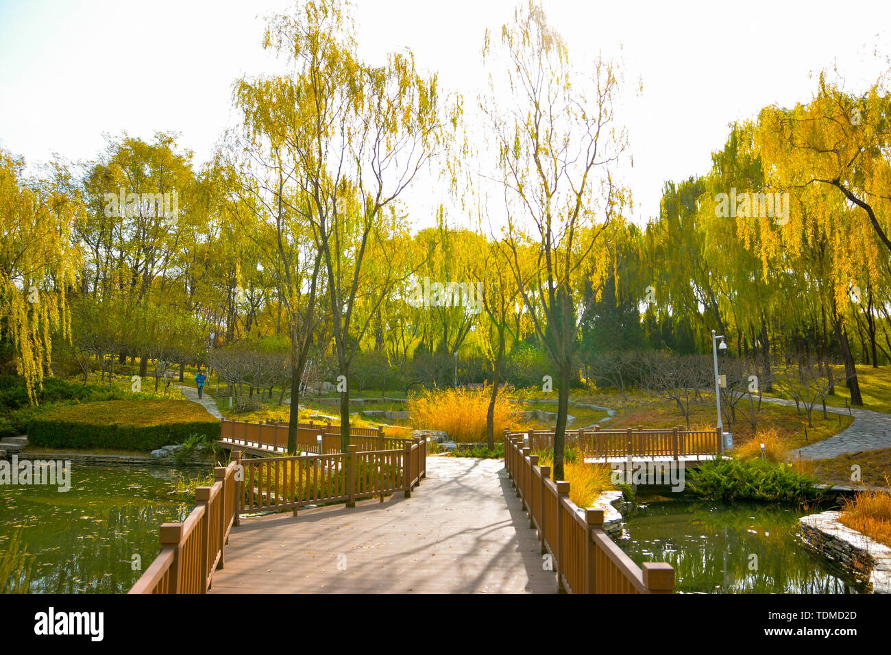 Autumn Color of AI Haidian Park Wisdom Park, Haidian District, Beijing ...