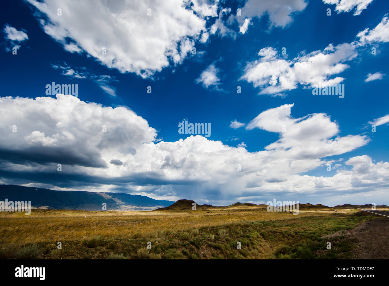 Ruts in pavement hi-res stock photography and images - Alamy