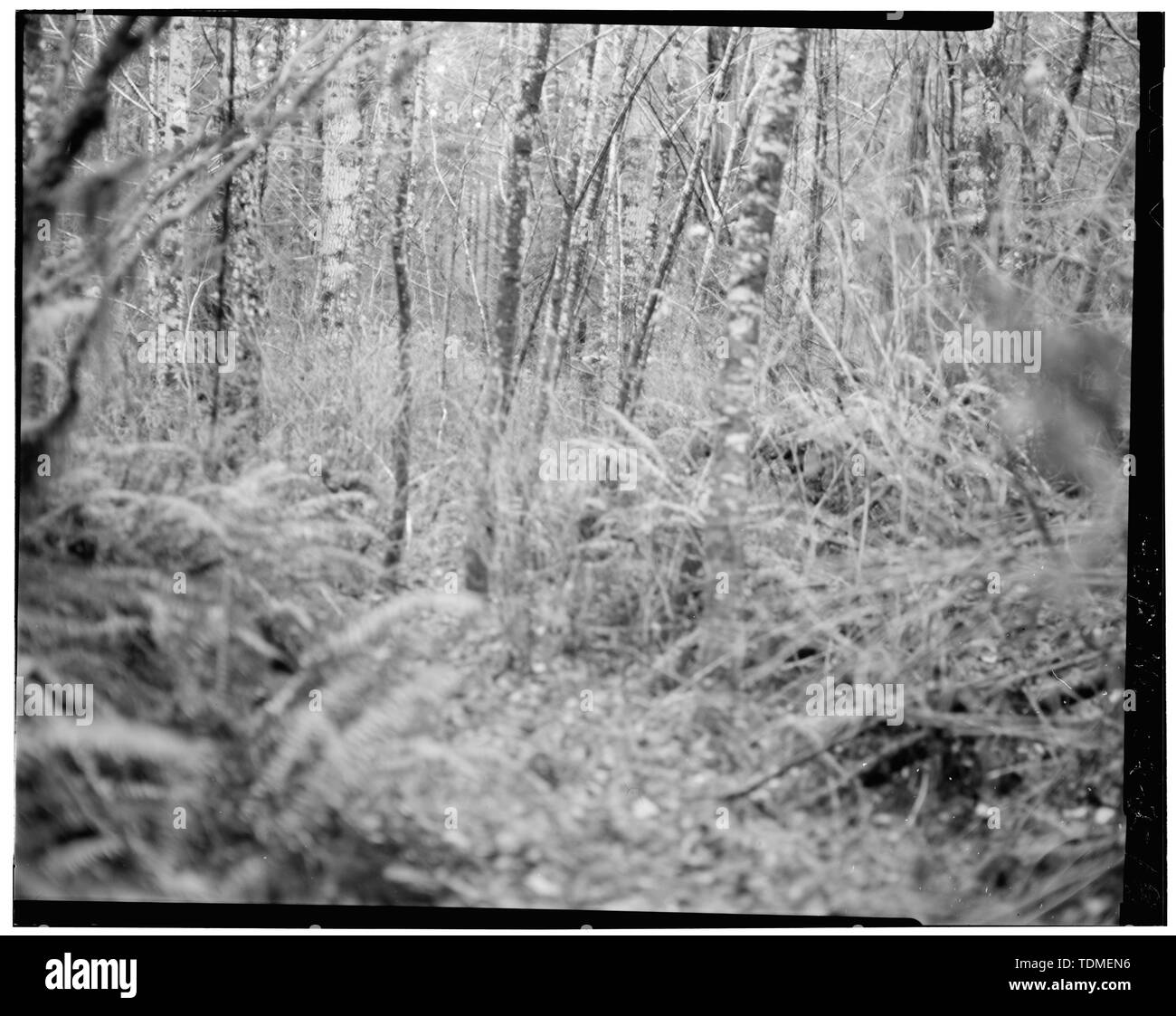 Point 18 Black and White Stock Photos & Images - Alamy