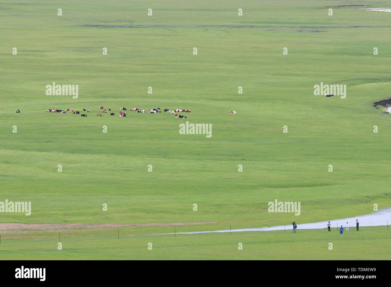 Erguna river erguna river wetland hi-res stock photography and images ...