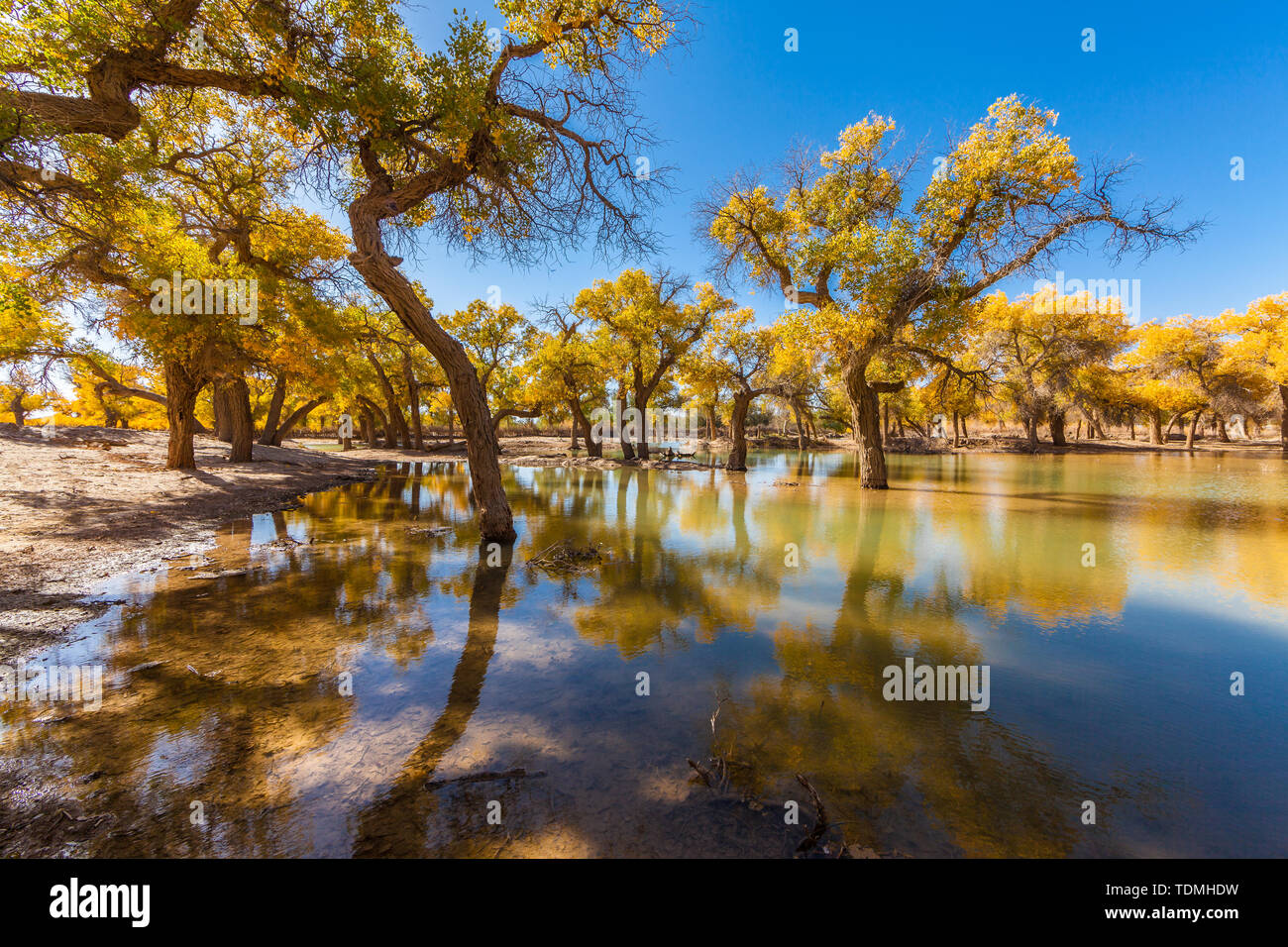Reflection of the surface of the blue sky in the Alashan Desert Stock ...