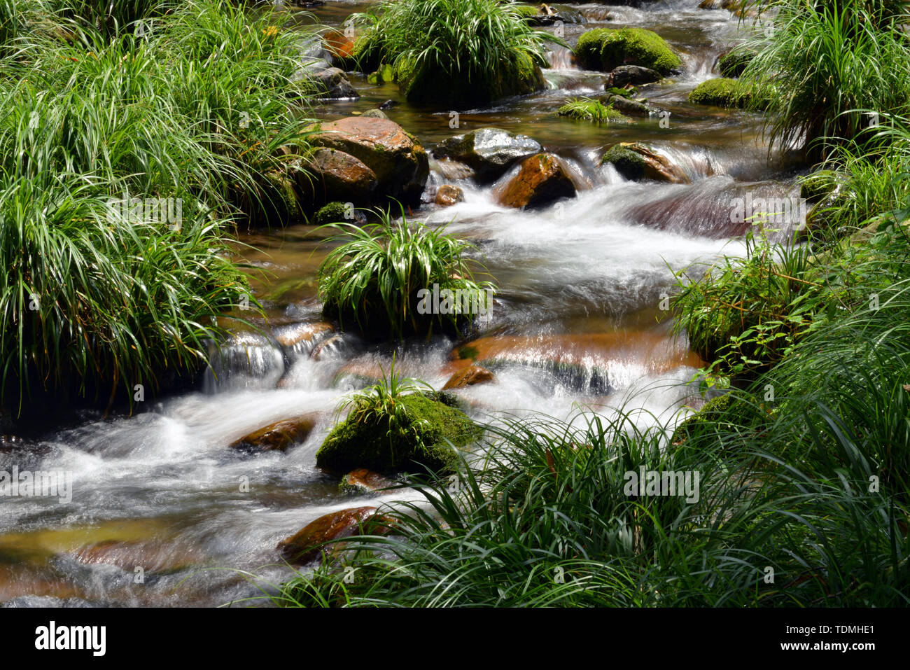Brook river hi-res stock photography and images - Alamy