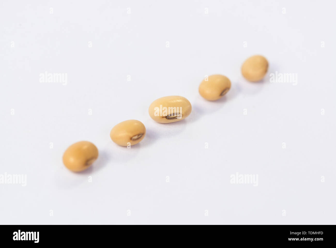 Soybeans loss hi-res stock photography and images - Alamy
