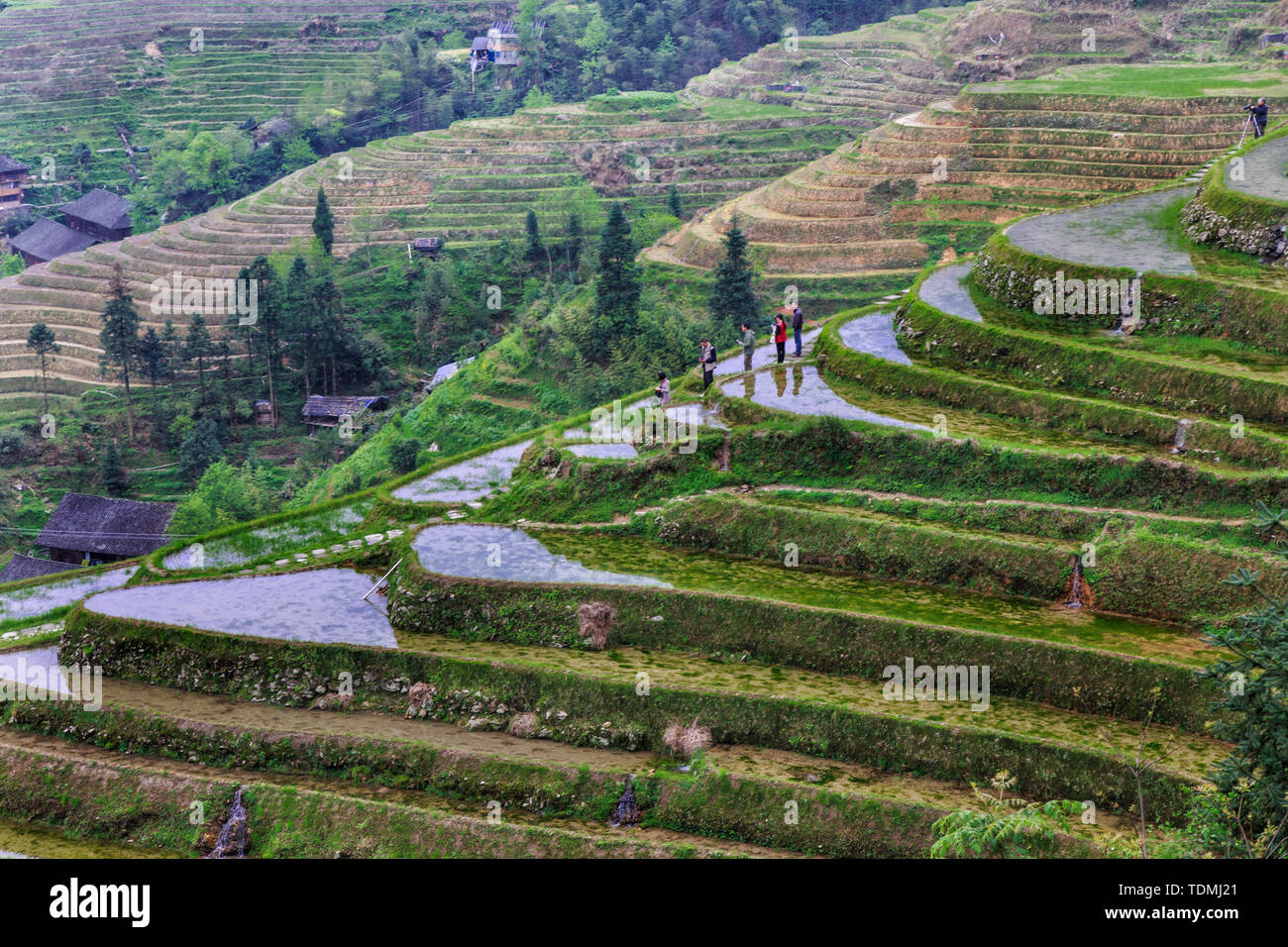 Terraced courtyards hi-res stock photography and images - Alamy