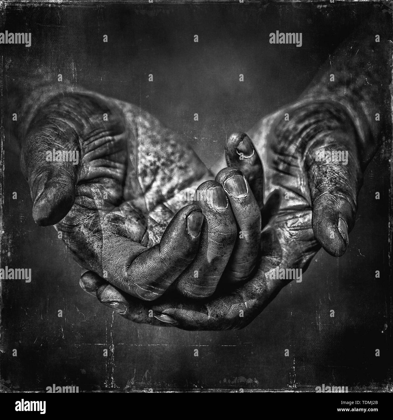 Labourers hands hi-res stock photography and images - Alamy