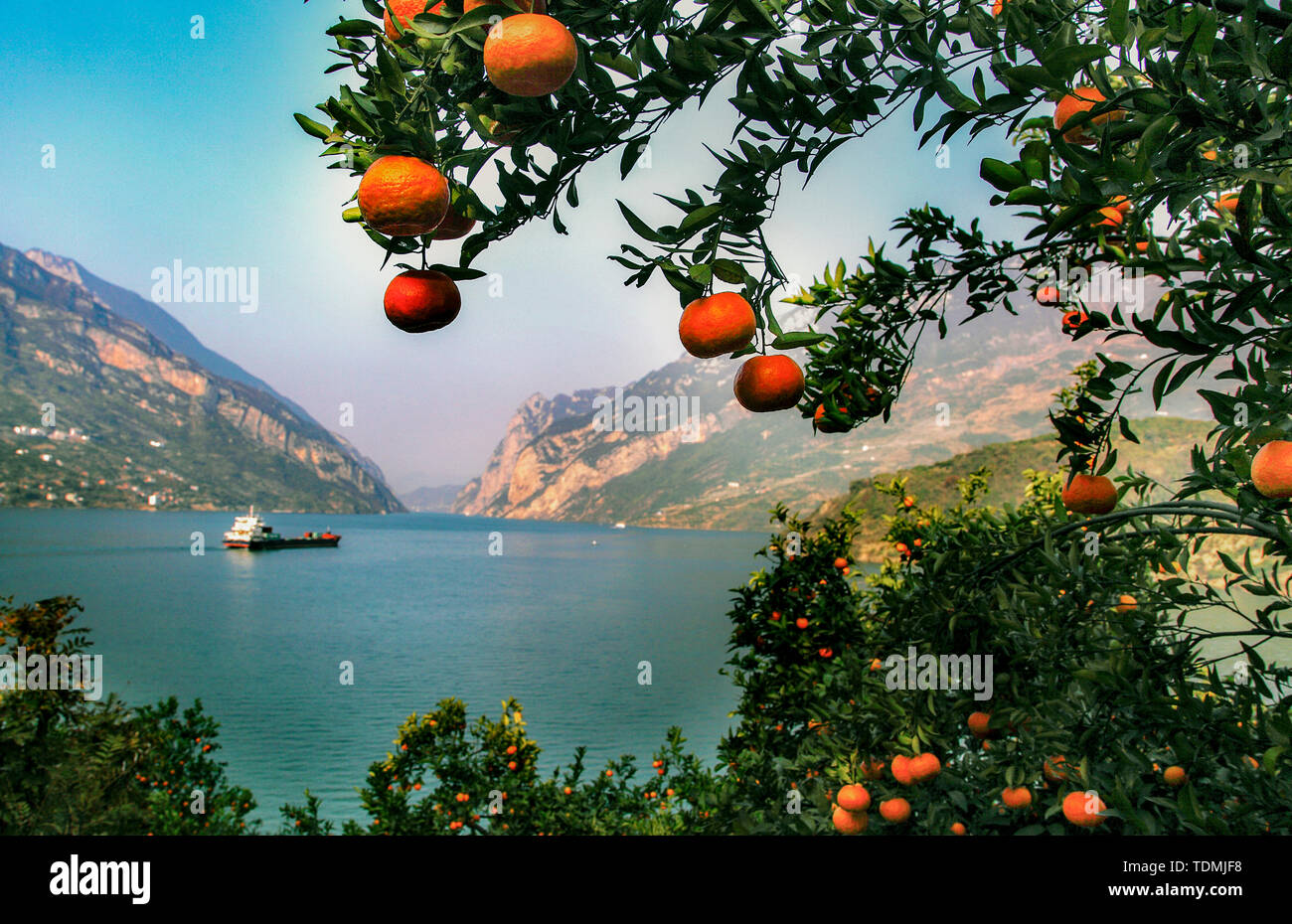 Tropical daylight and tourism and comfortable weather hi-res stock ...