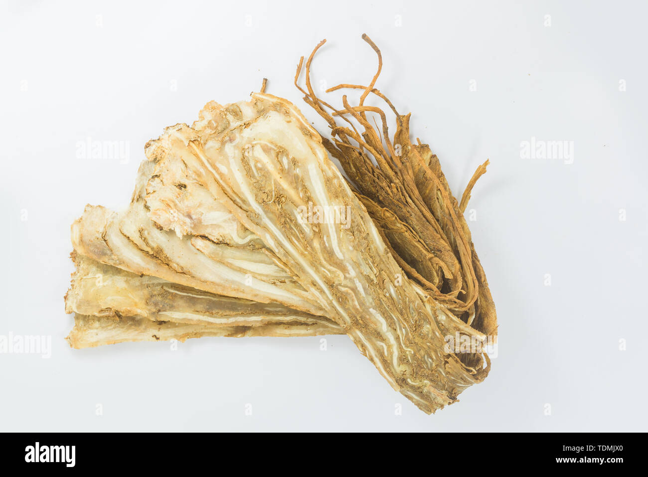 Angelica on white background Stock Photo - Alamy