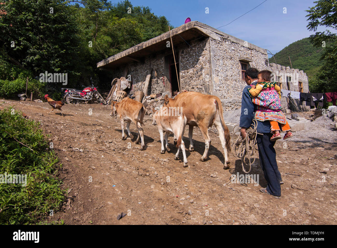 Miao family hi-res stock photography and images - Alamy