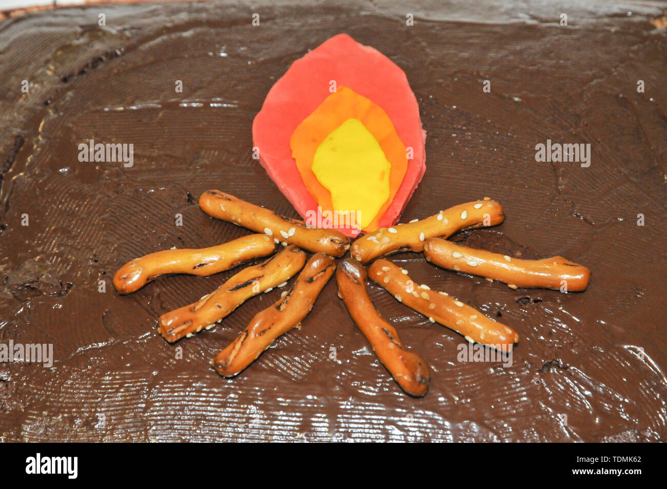 Campfire with flame and pretzel logs decorate a chocolate birthday cake ...