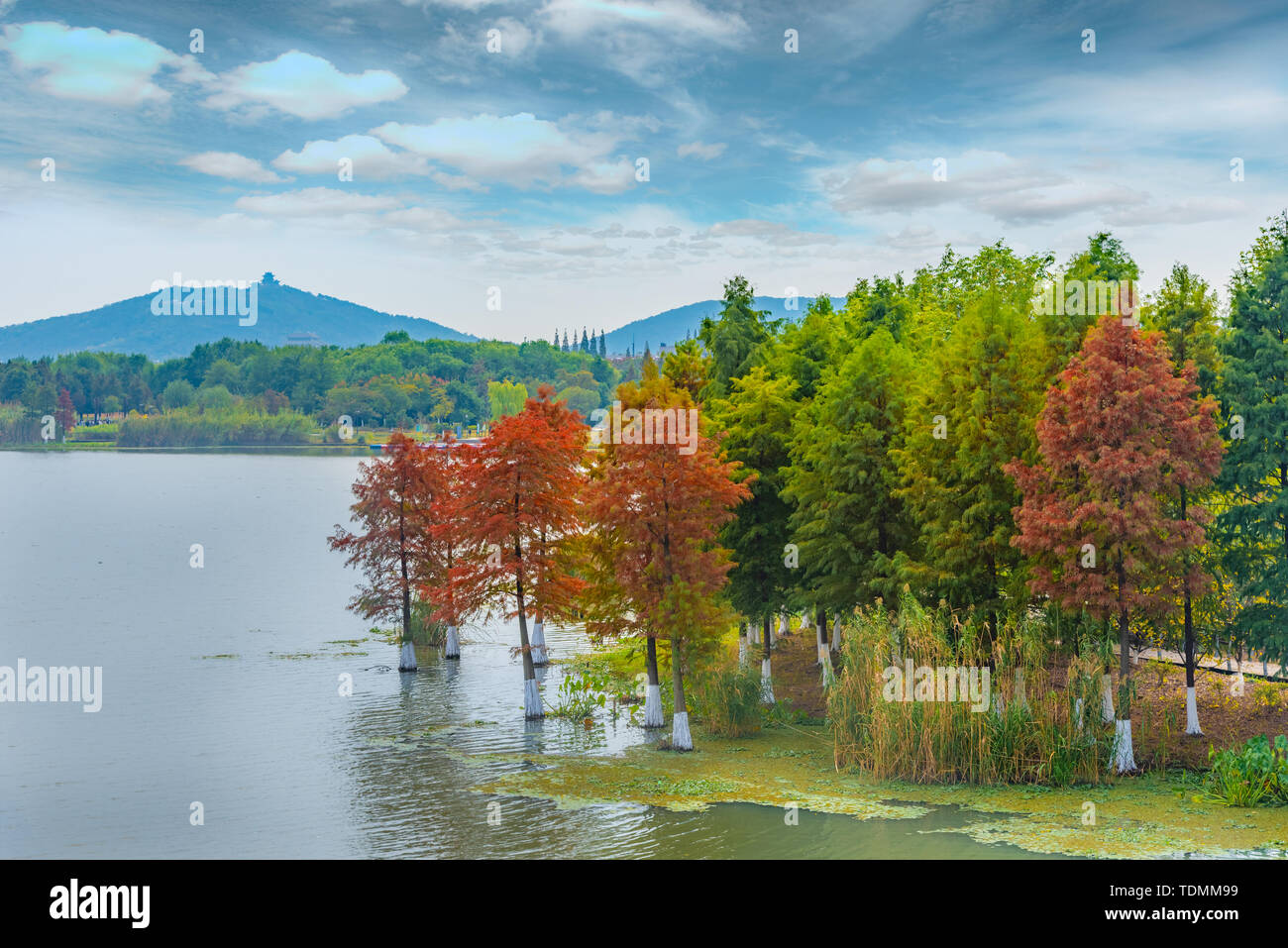 The beautiful scenery of Li Lake in Wuxi Stock Photo - Alamy