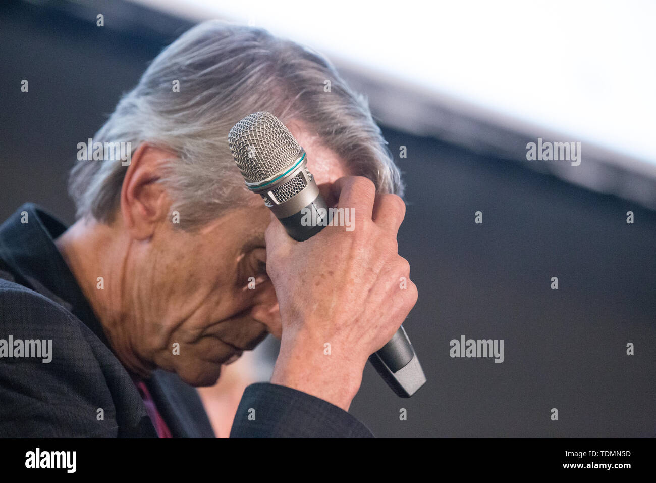 Rome, Italy. 16th June, 2019. Jeremy Irons British actor Jeremy Irons ...