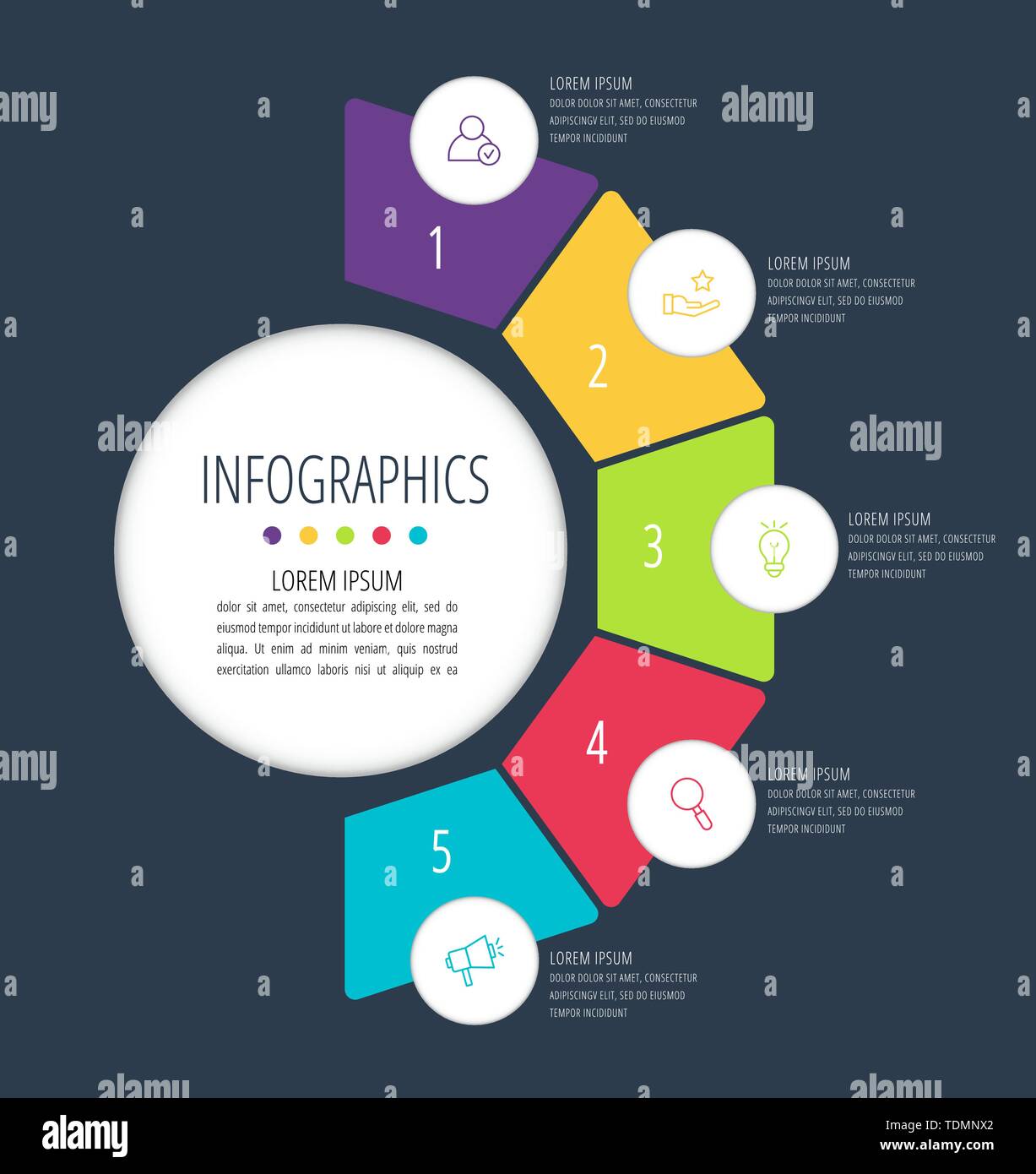 Vector infographic flat template sectors for five label, diagram, graph ...