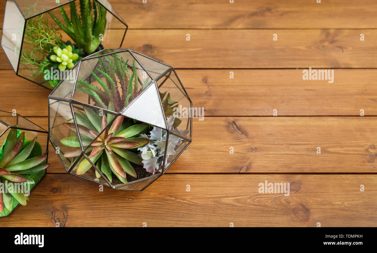 Composition of florarium vases, top view copy space Stock Photo - Alamy
