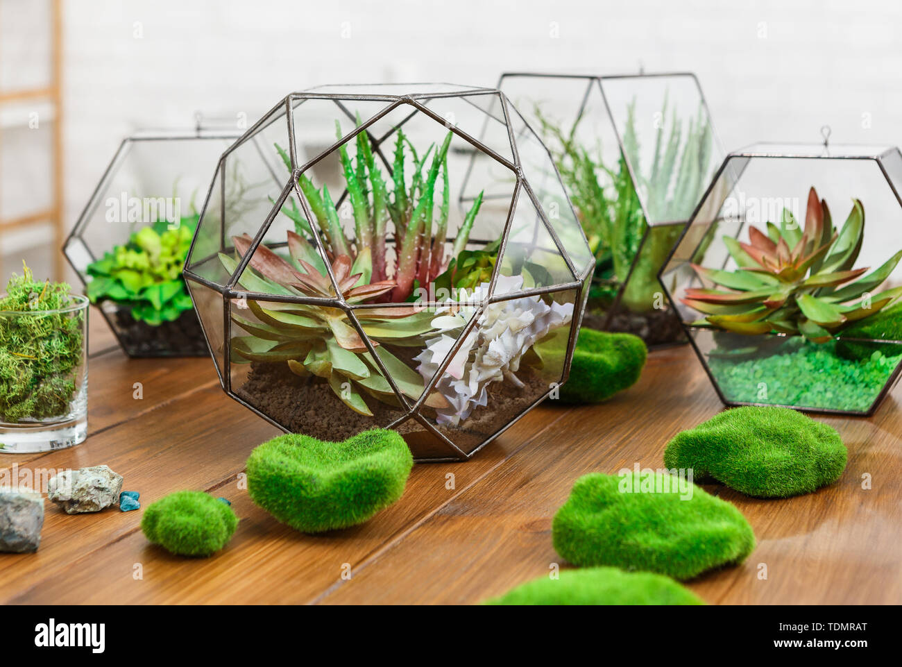 Vases with plants hi-res stock photography and images - Alamy