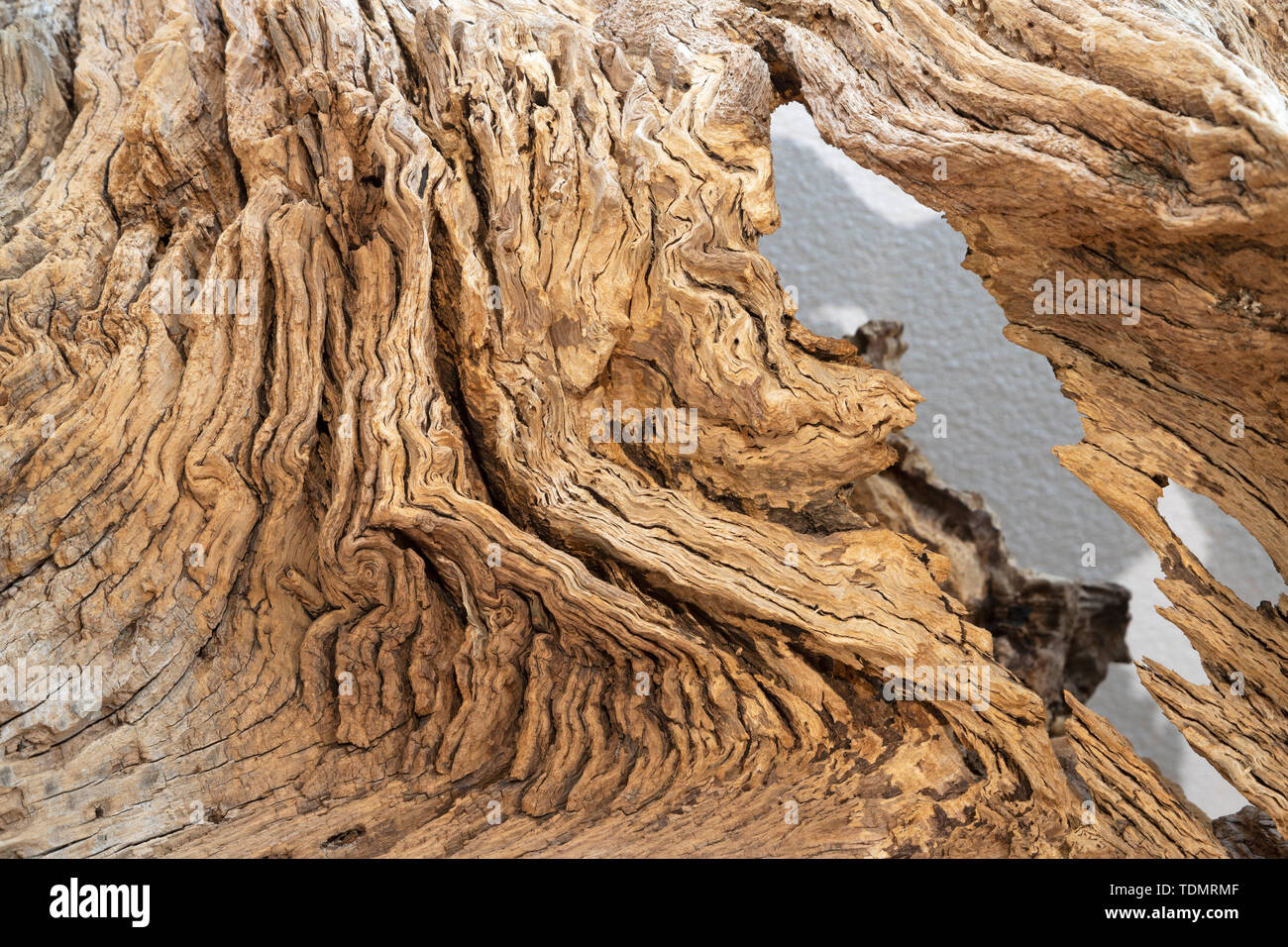 Oak sculpture hi-res stock photography and images - Alamy