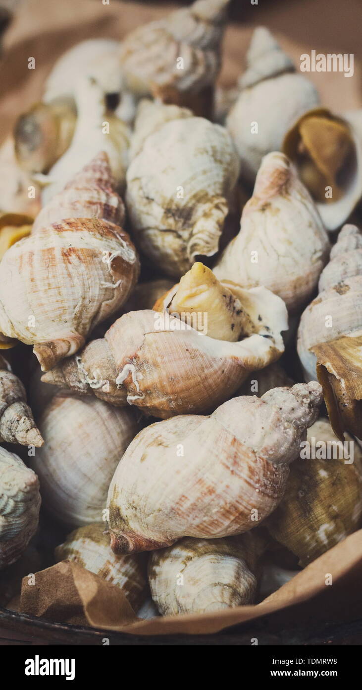 Medetarainian seafood hi-res stock photography and images - Alamy