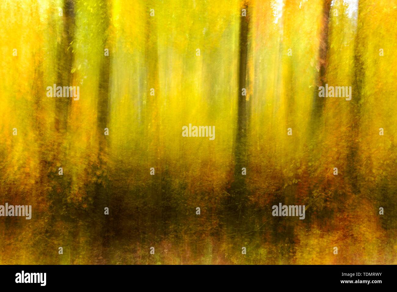 Abstract impressionism photography hi-res stock photography and images ...