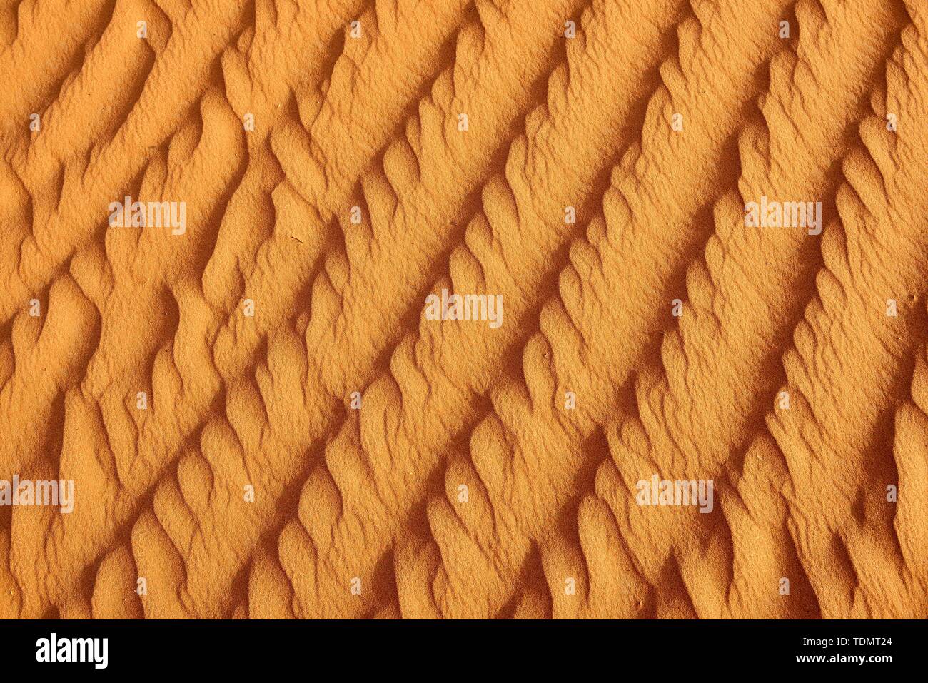 Sand ripples, texture on a sanddune, Tassili n'Ajjer National Park ...