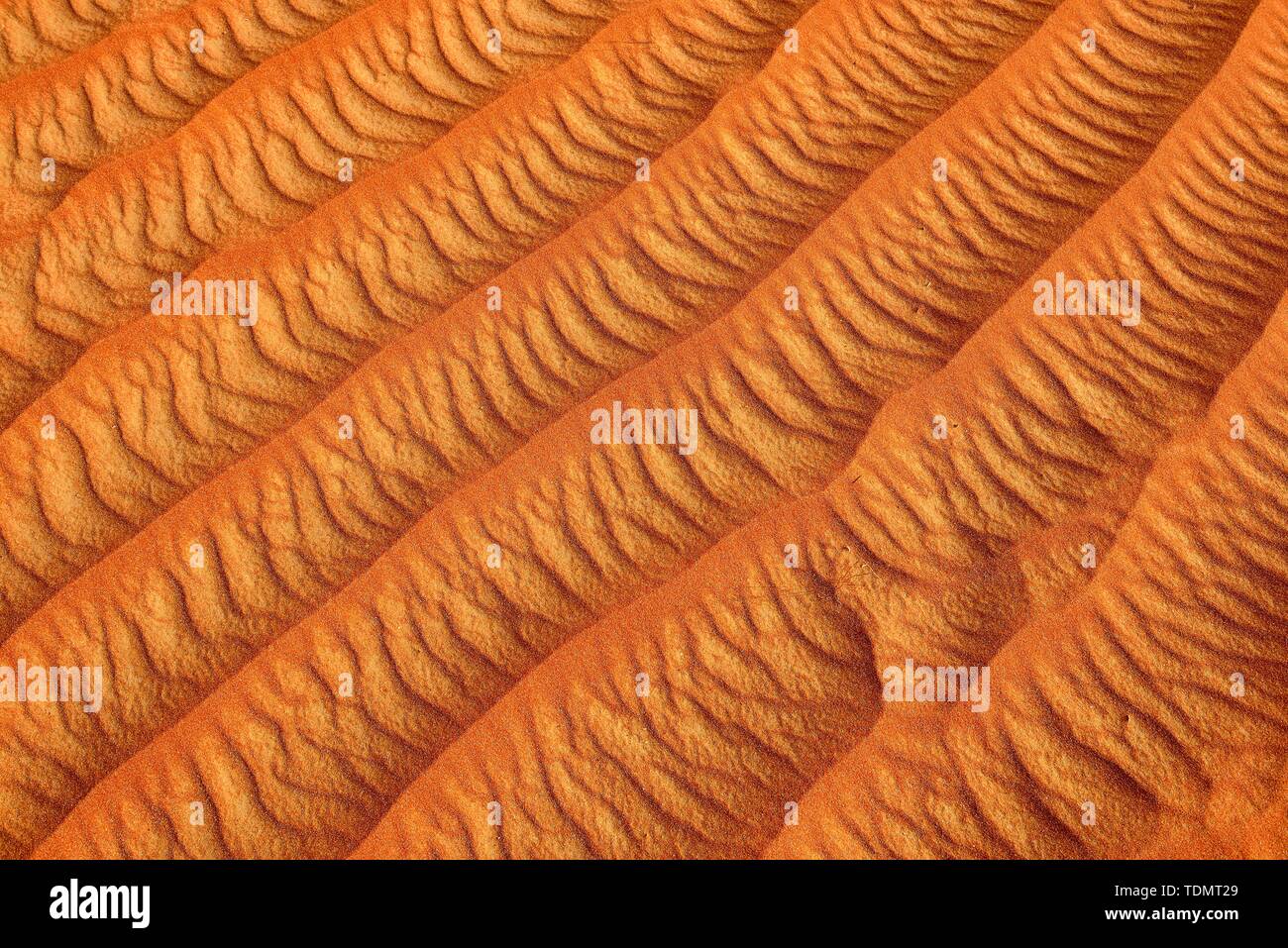 Sand ripples, texture on a sanddune, Tassili n'Ajjer National Park ...