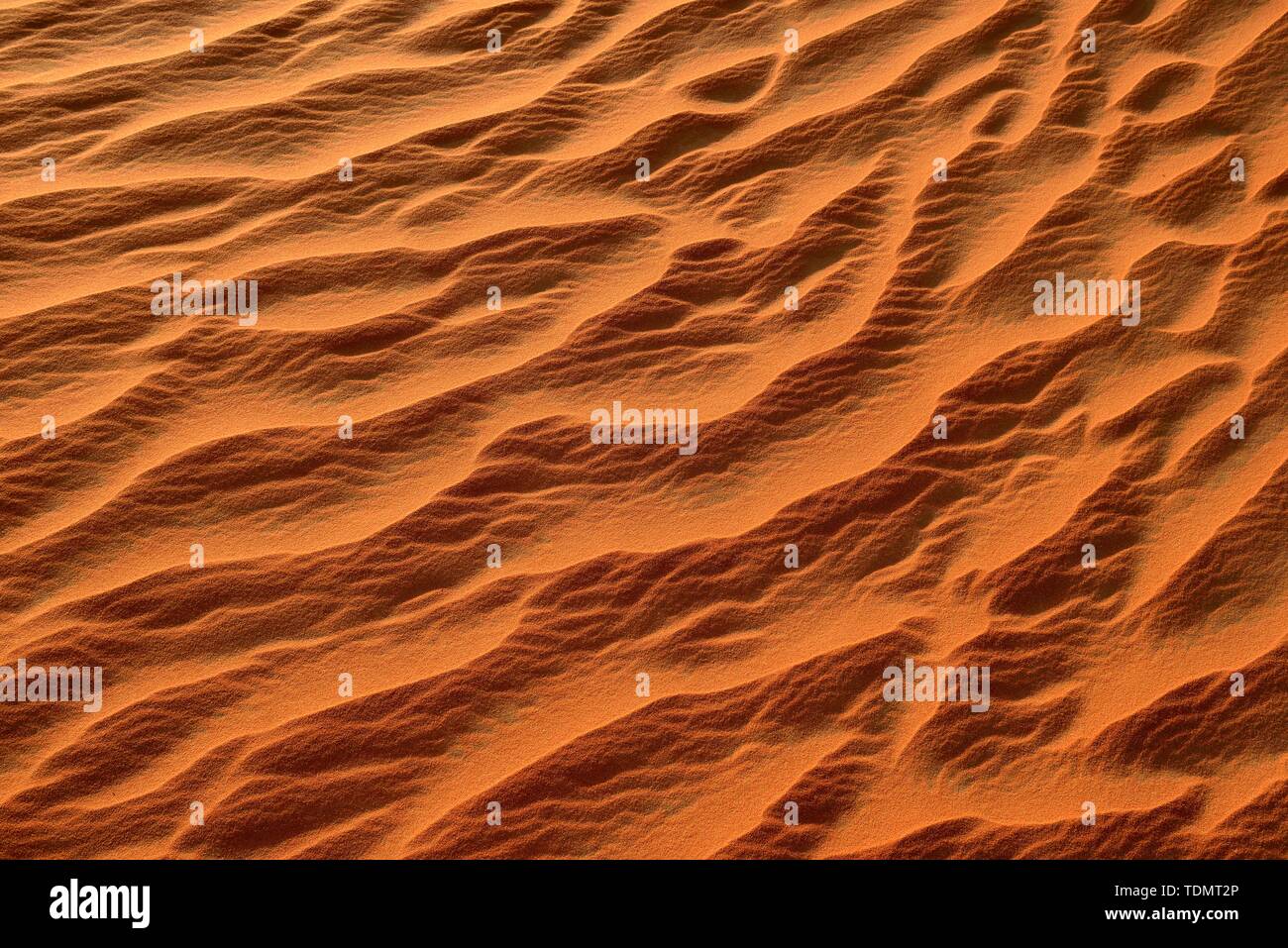 Sand ripples, texture on a sanddune, Tassili n'Ajjer National Park ...