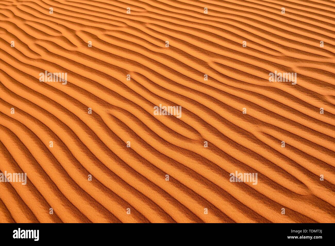 Sand ripples, texture on a sanddune, Tassili n'Ajjer National Park ...