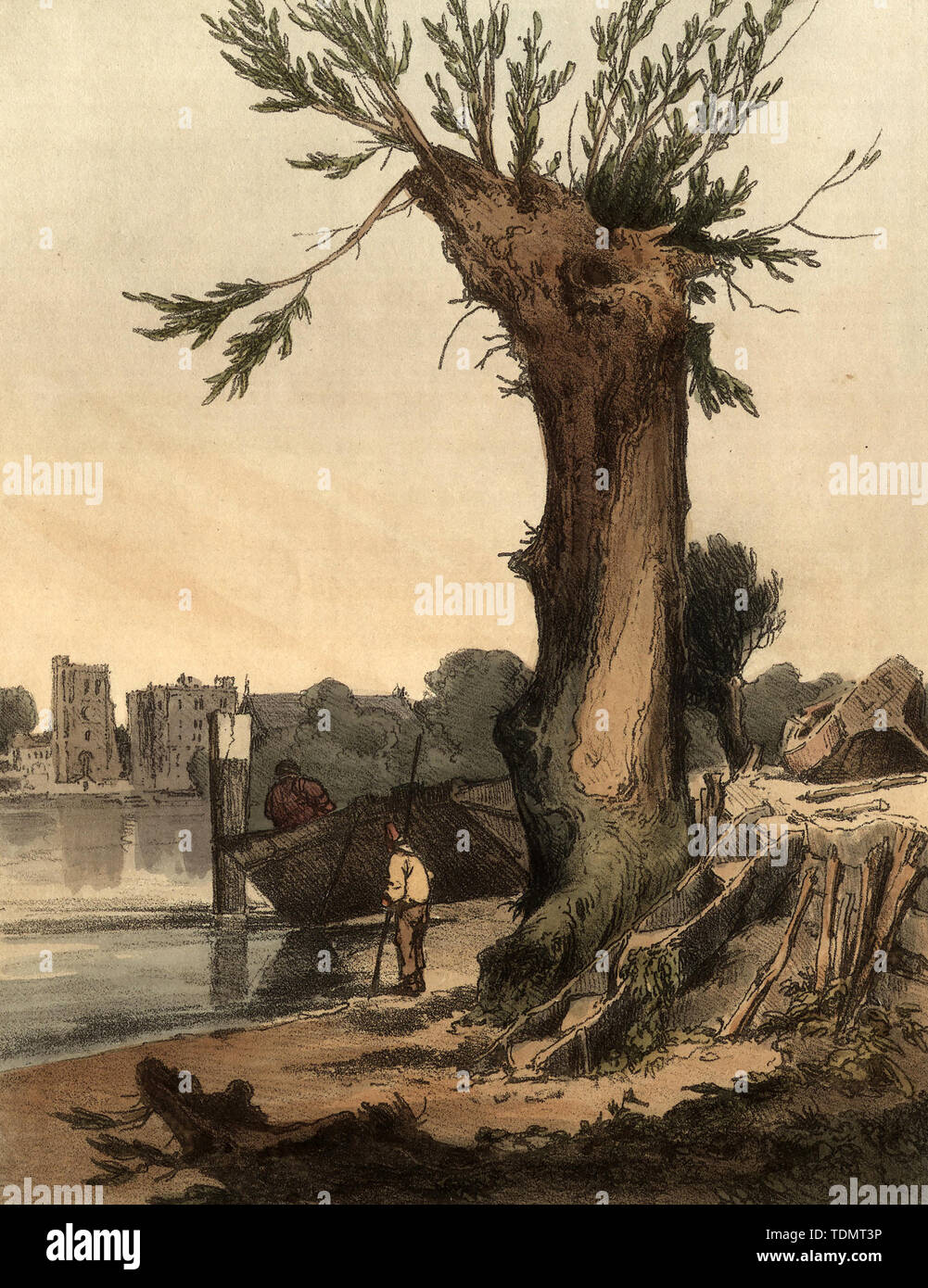 Nature of America. Old image Stock Photo - Alamy