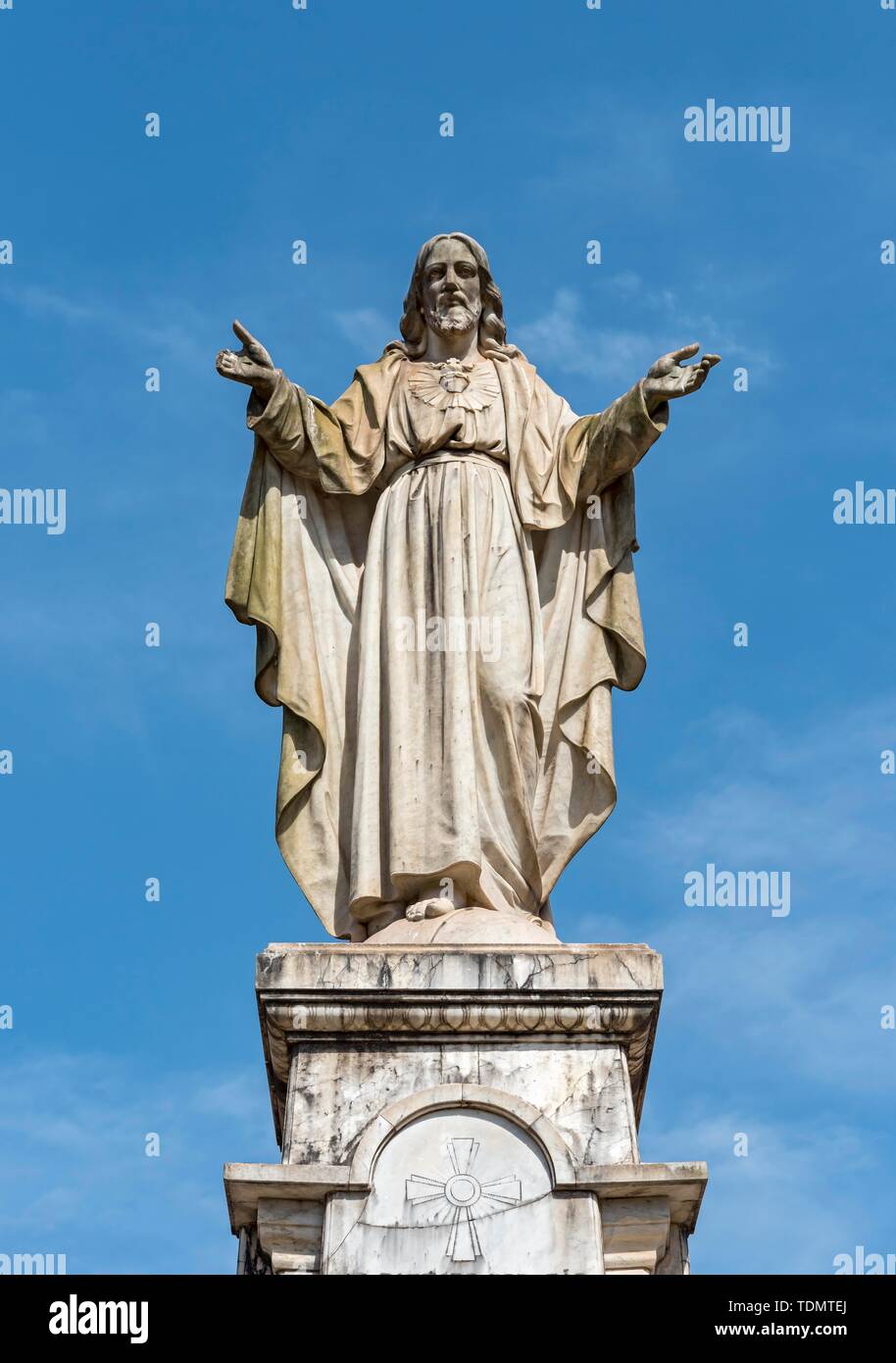 Cathedral of the sacred heart of jesus hi-res stock photography and ...