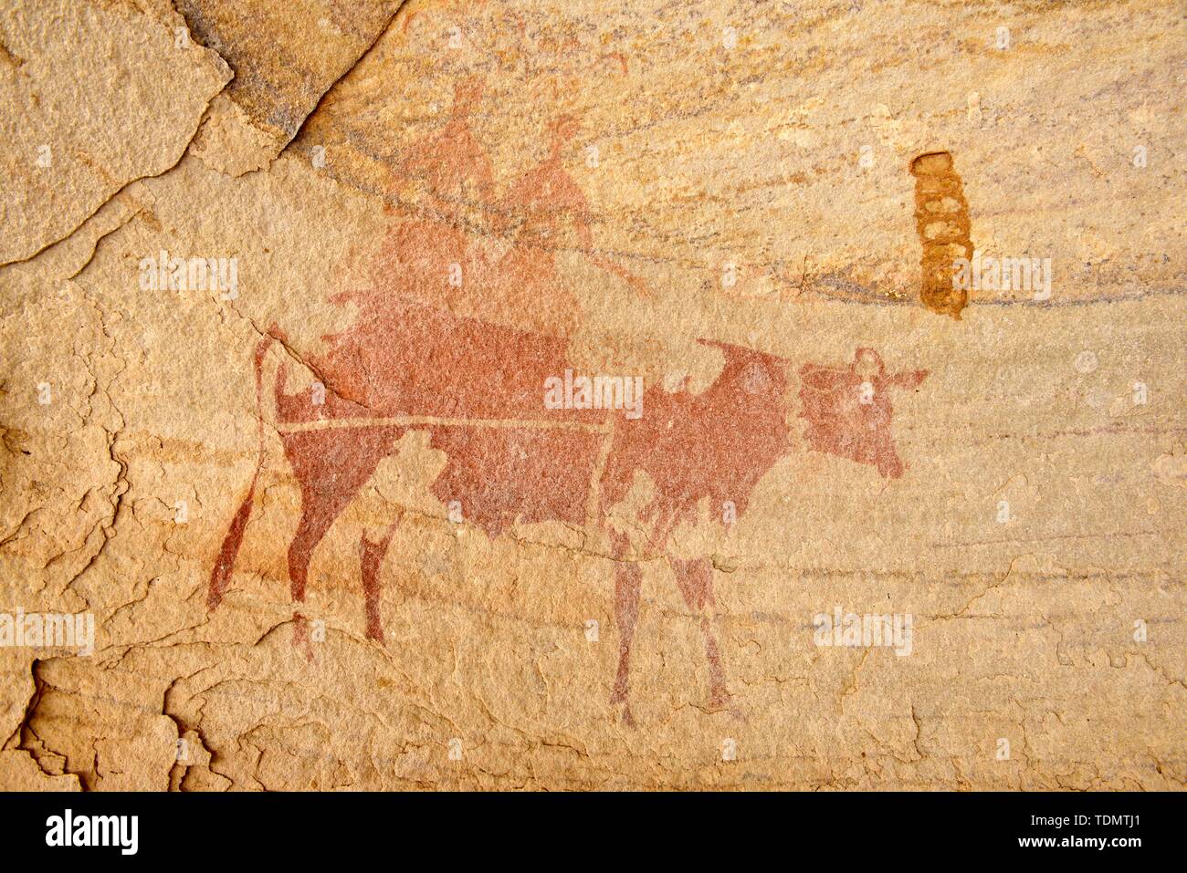 Ancient cow depiction hi-res stock photography and images - Alamy