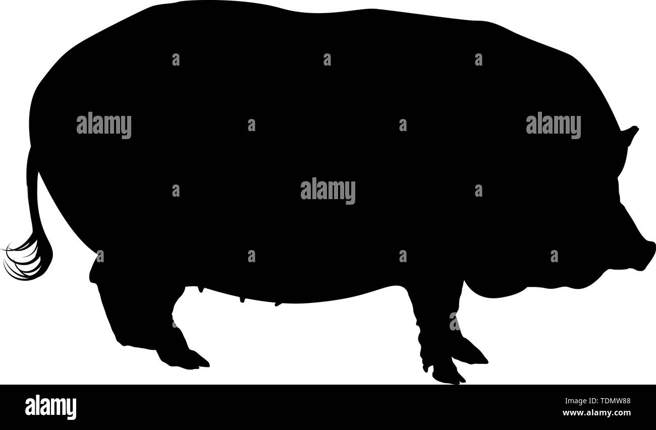Pig Silhouette. Highly Detailed Smooth Design. Vector Illustration ...
