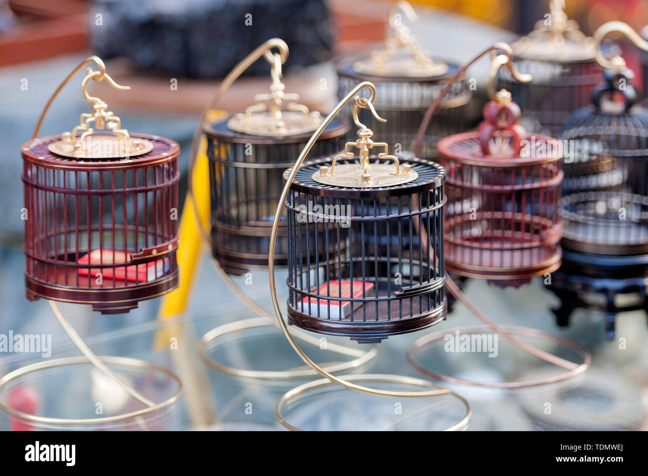 Grasshopper cage hi-res stock photography and images - Alamy